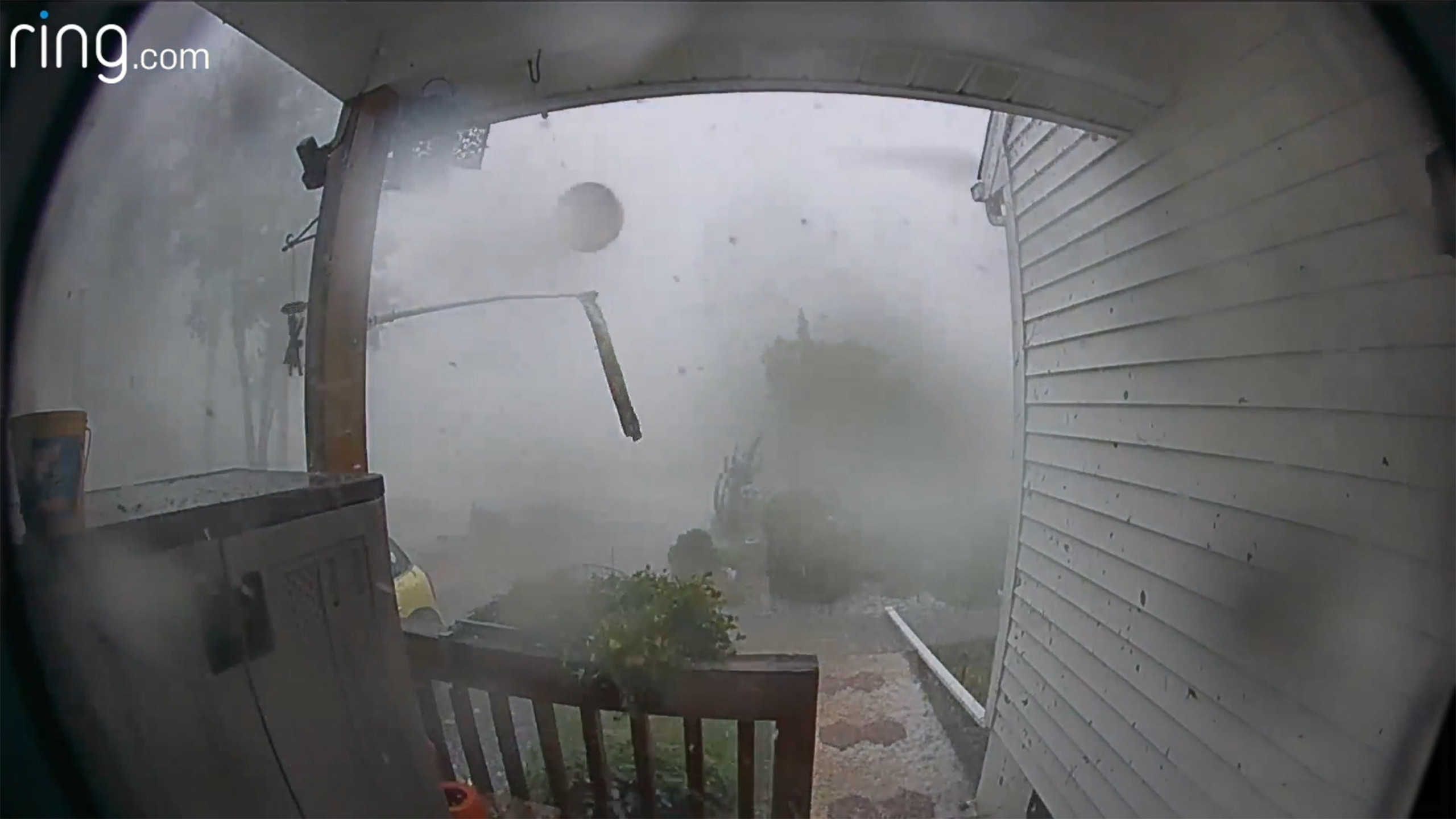 The Ring Blog Home - The Ring Blog