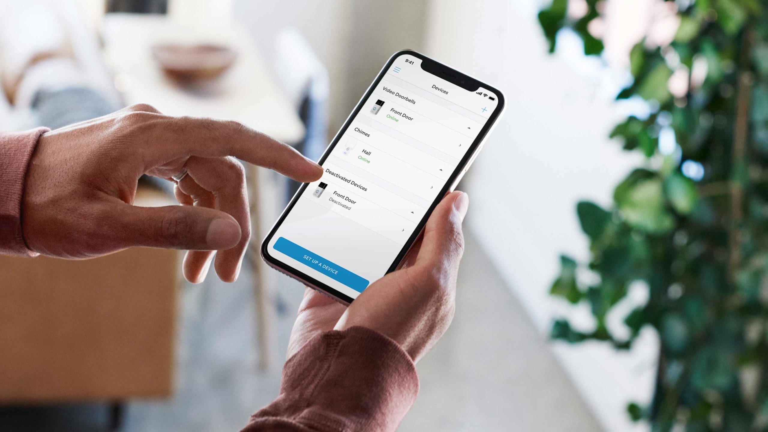 The Ring Blog Home - The Ring Blog