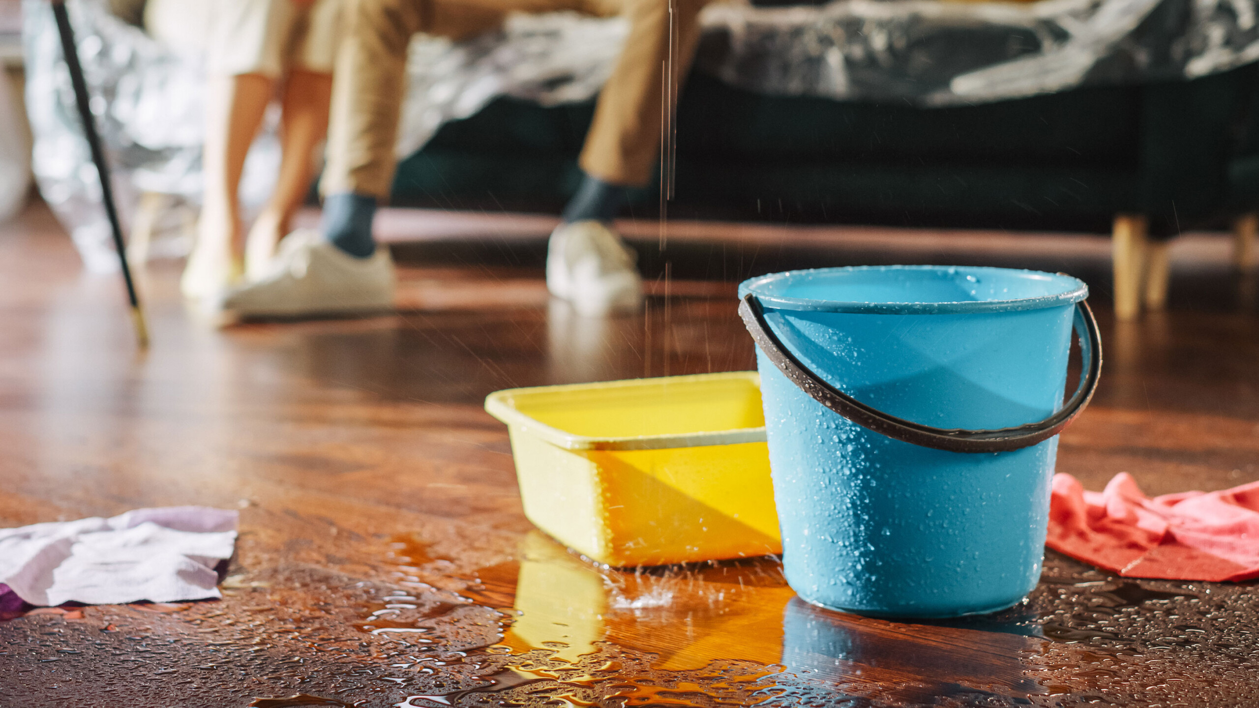 The Ring Blog Home - The Ring Blog